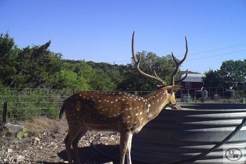 Rocksprings TX Hunting and Property Owners » WIMKIN - Free Speech ...